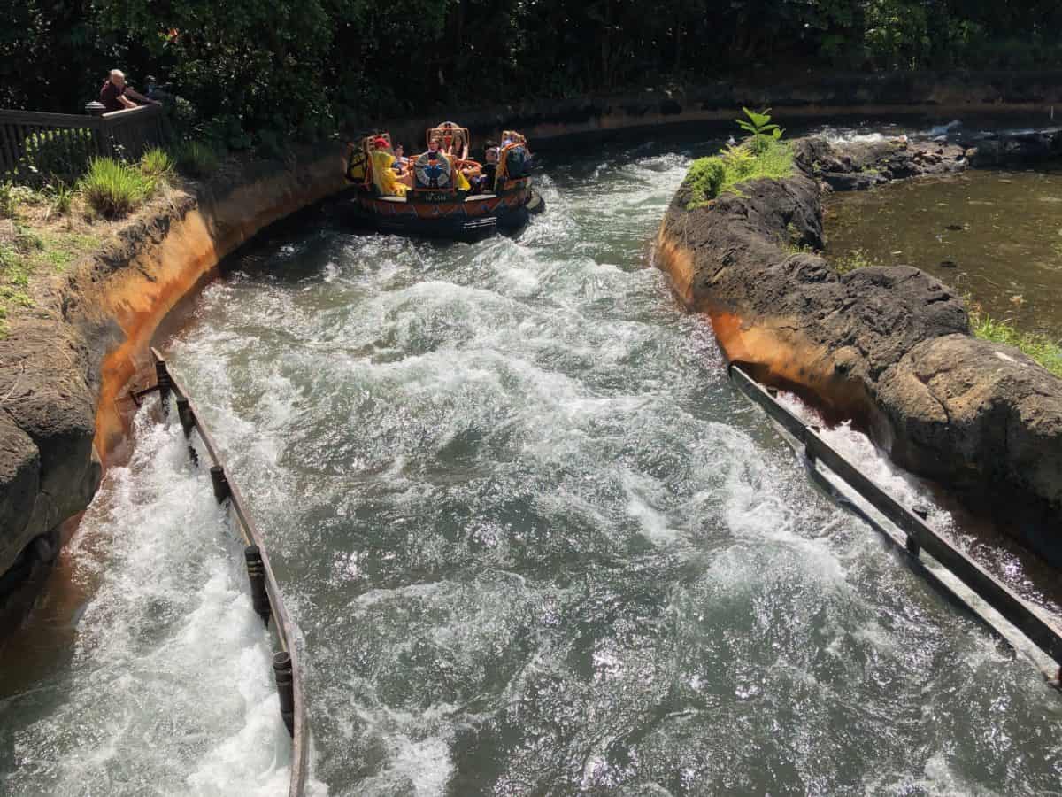 PHOTOS: Kali River Rapids in Disney's Animal Kingdom Opens Just In Time ...