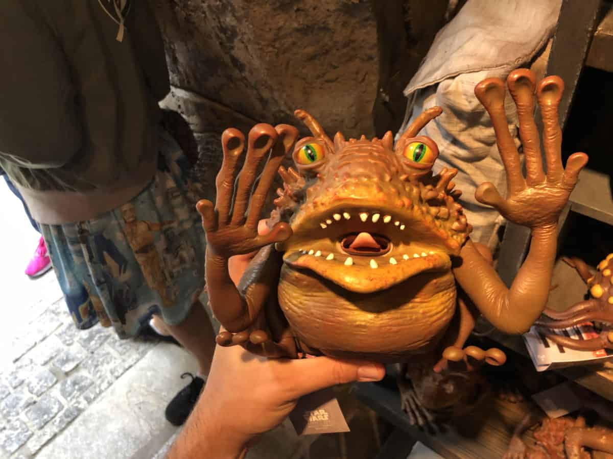 PHOTOS: Every Adoptable Creature at the Creature Stall in Star Wars ...