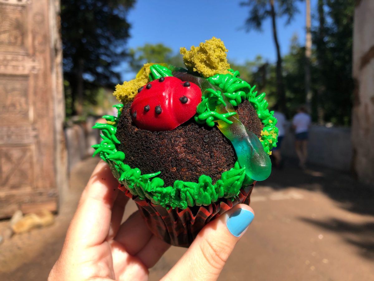 REVIEW: New Bugs ‘n’ Grubs Cupcake Crawls into Creature Comforts at ...