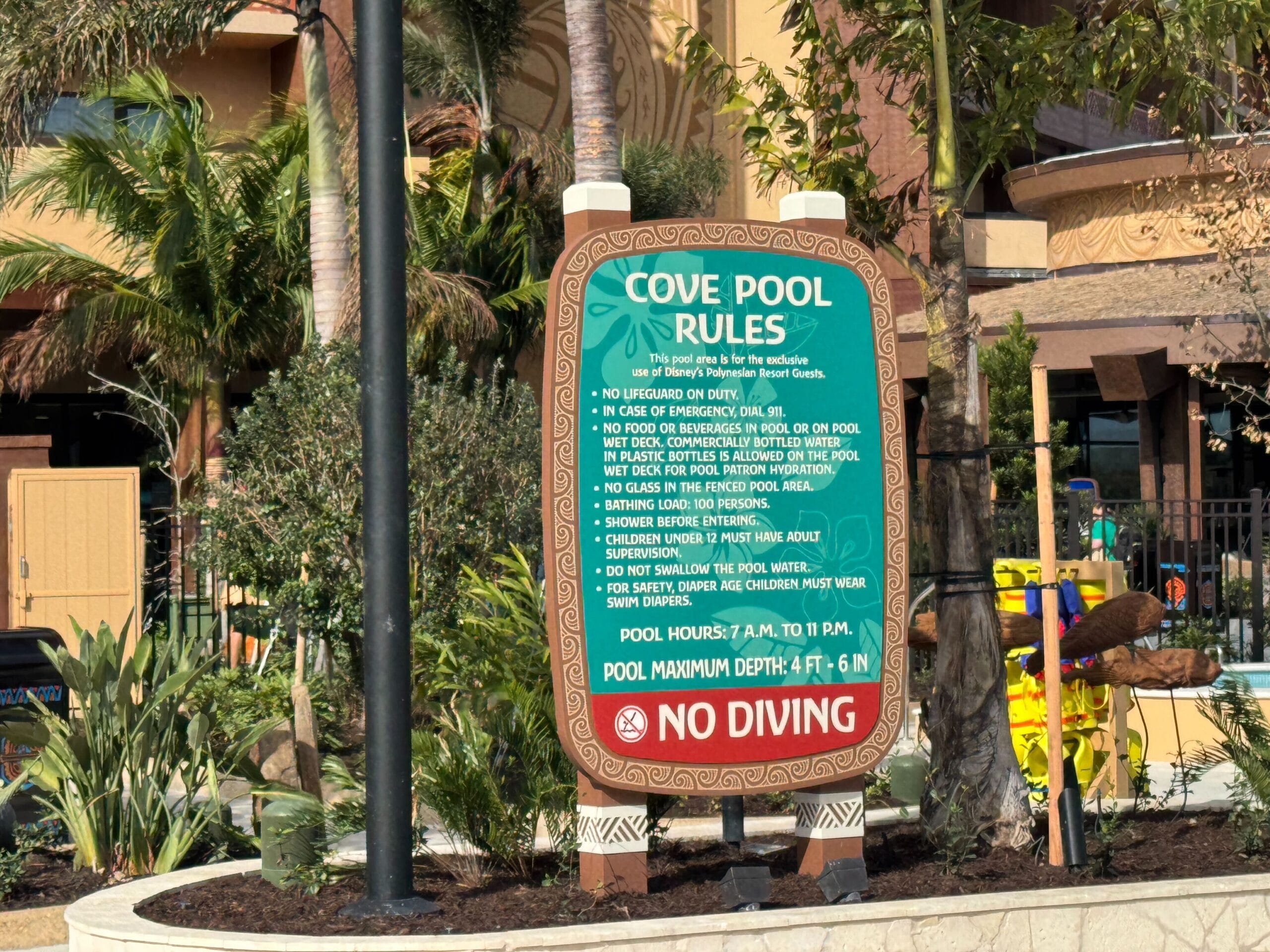 PHOTOS: Tour New DVC Island Tower Pool, Moana Splash Pad, and Wailulu ...