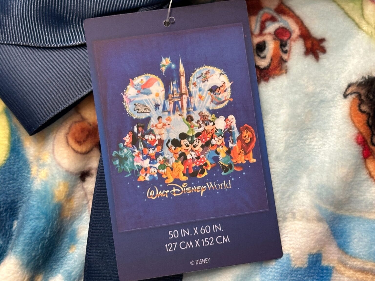 Character Throw Blanket Now Available at Walt Disney World - Disney by Mark