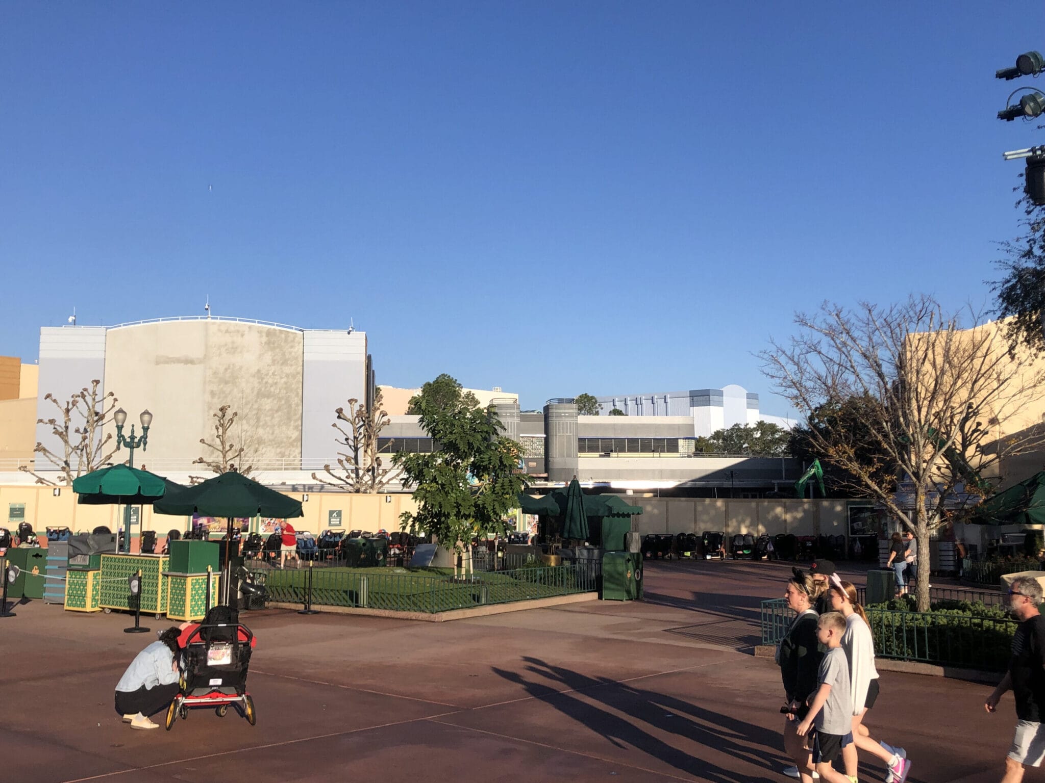 Trees Added to Animation Courtyard in Disney’s Hollywood Studios ...