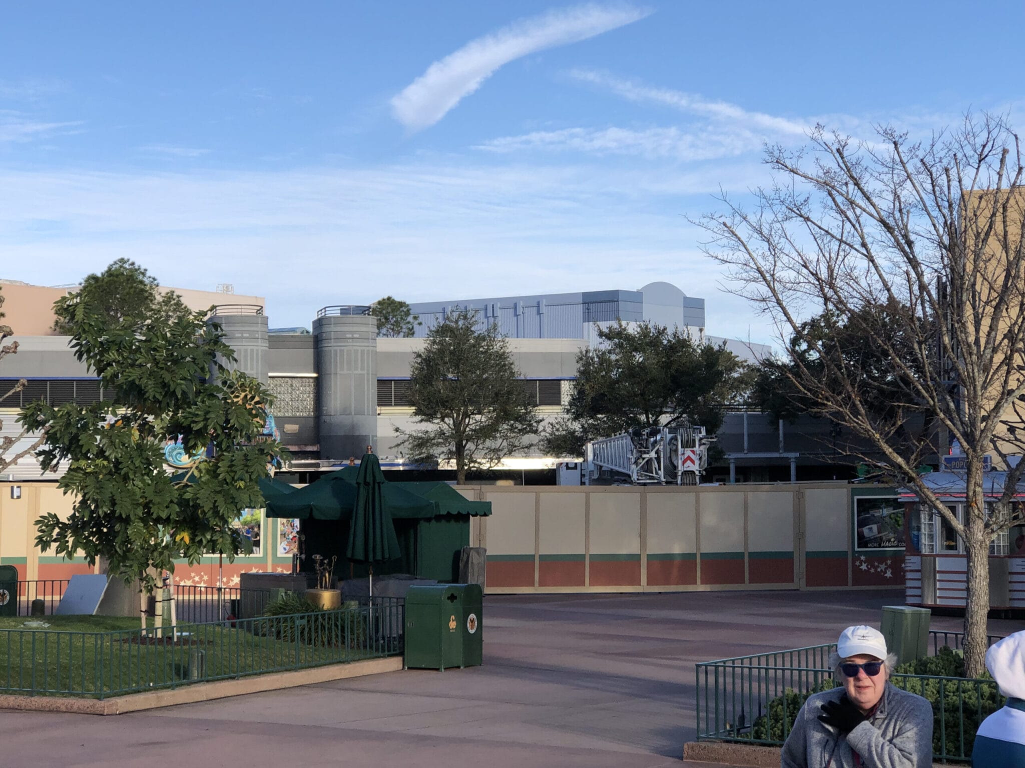 Trees Added to Animation Courtyard in Disney’s Hollywood Studios ...