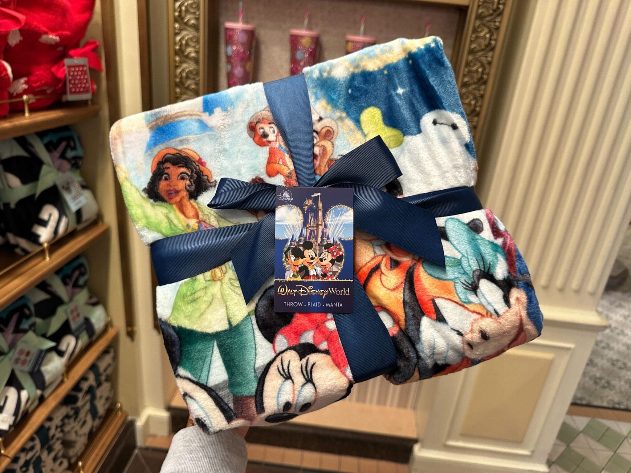 Character Throw Blanket Now Available at Walt Disney World - Disney by Mark