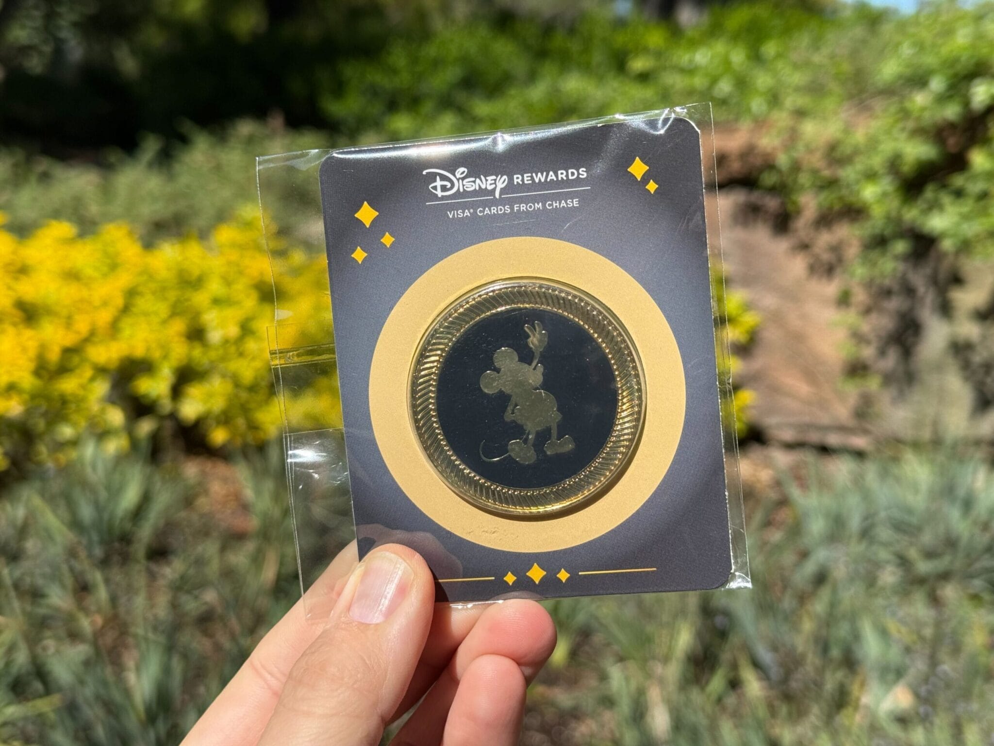 Disney Visa Kiosks Give Out Promotional Coins at Disneyland Resort ...