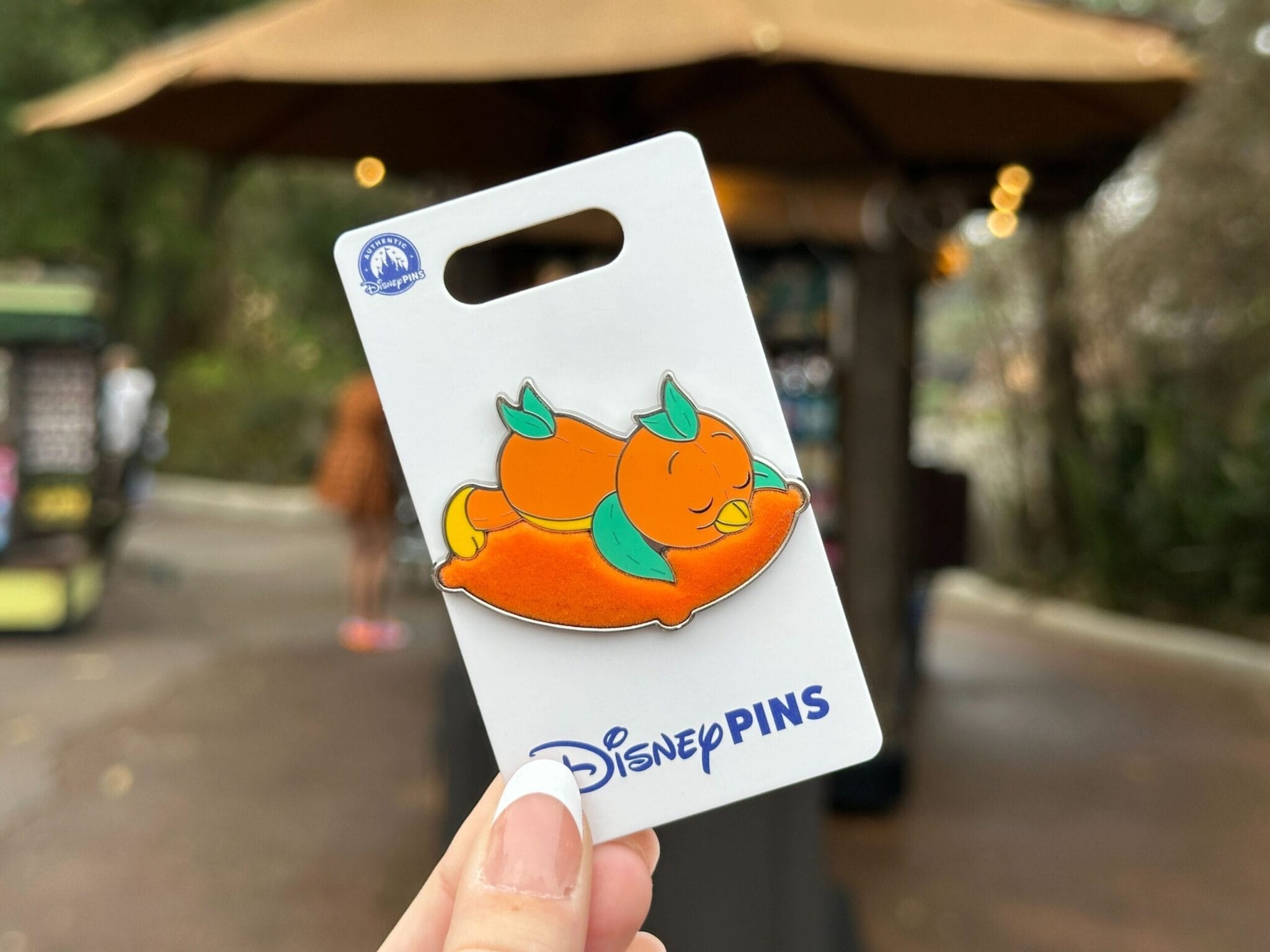Napping Orange Bird Pin Now Available at Disney World - Disney by Mark