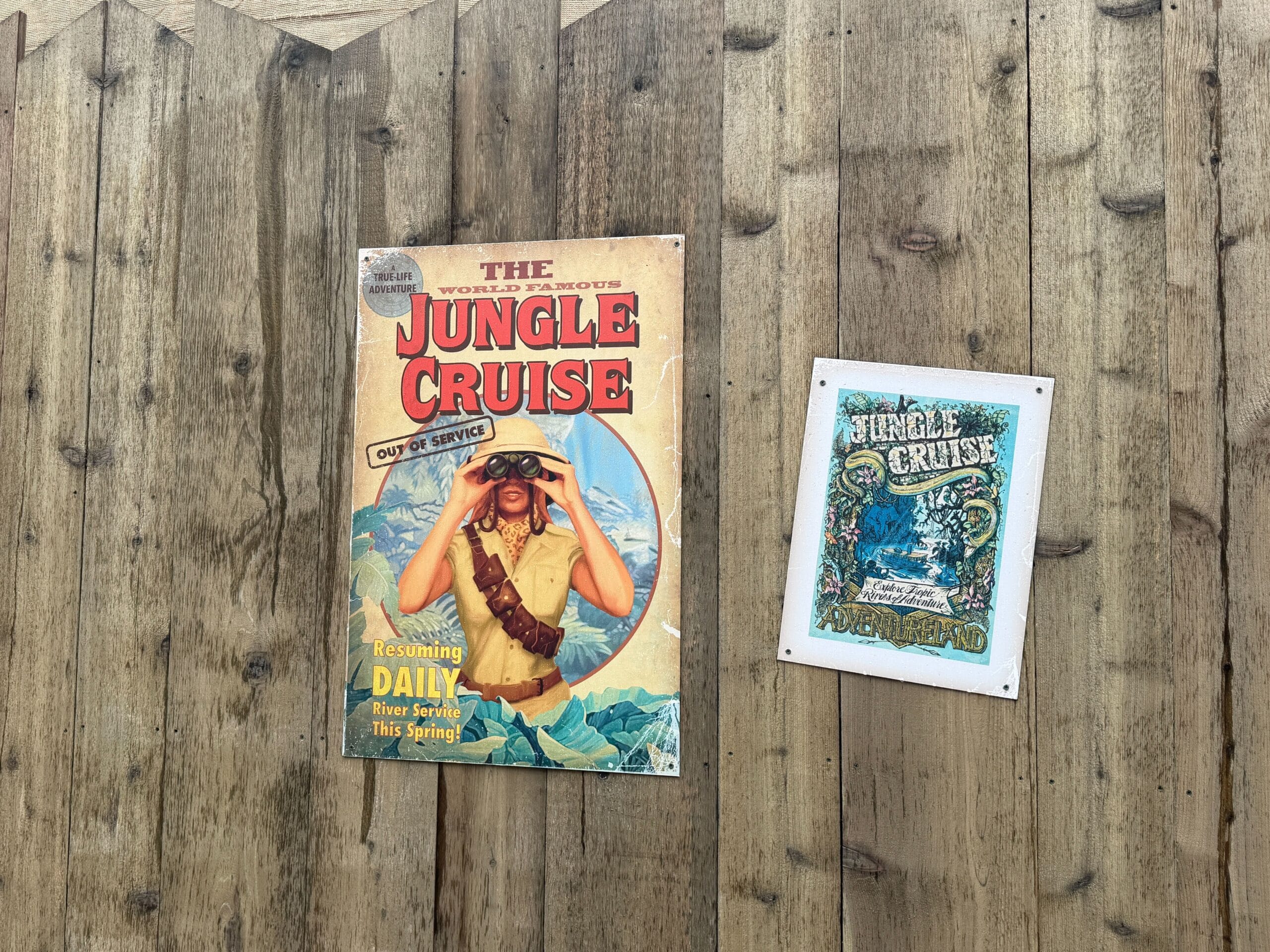 More Walls, Scrim, and Thematic Posters Added Outside of Disneyland's ...
