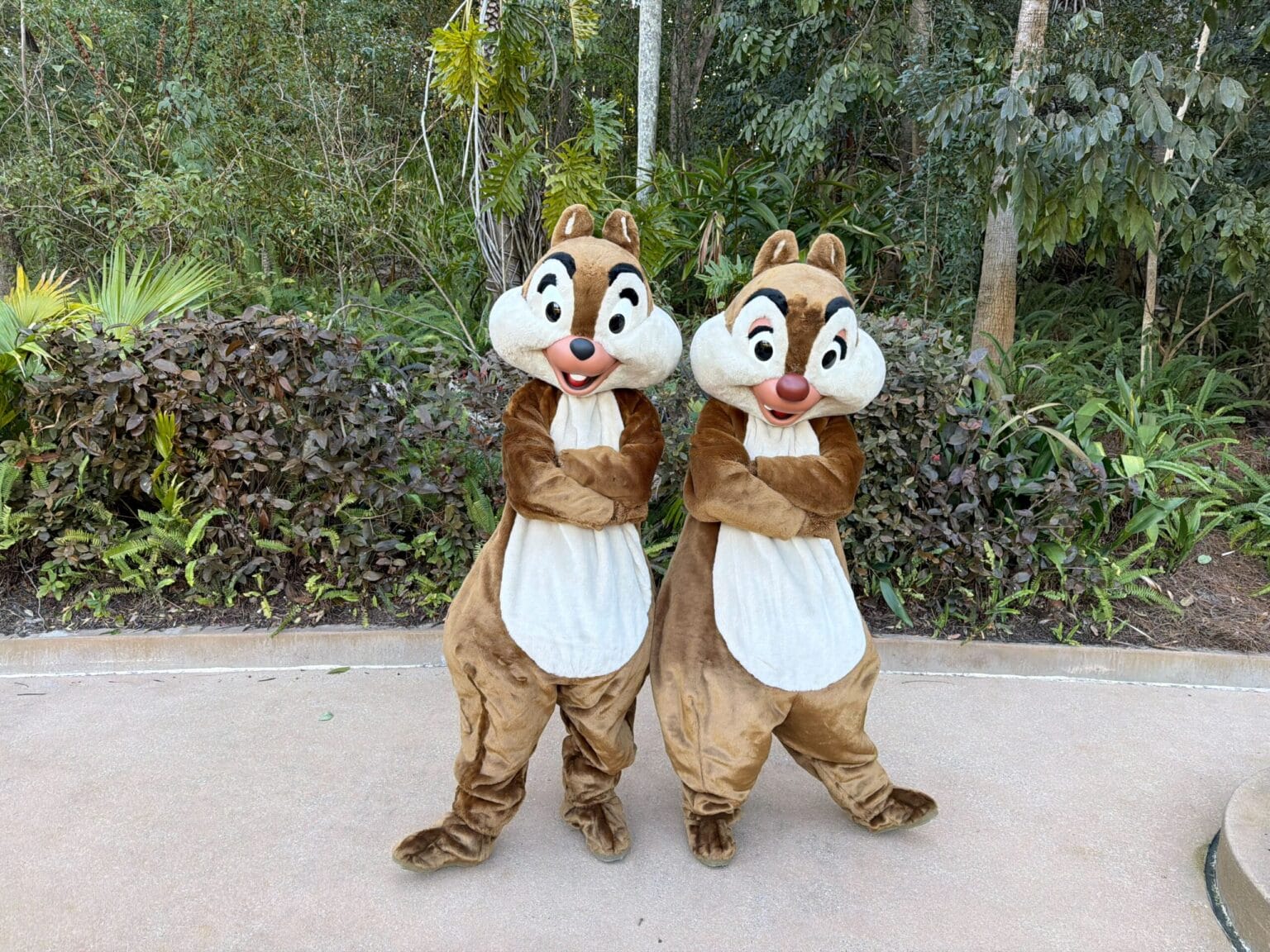 Donald, Daisy, and Chip ‘n’ Dale Meet in Different Costumes & Locations ...