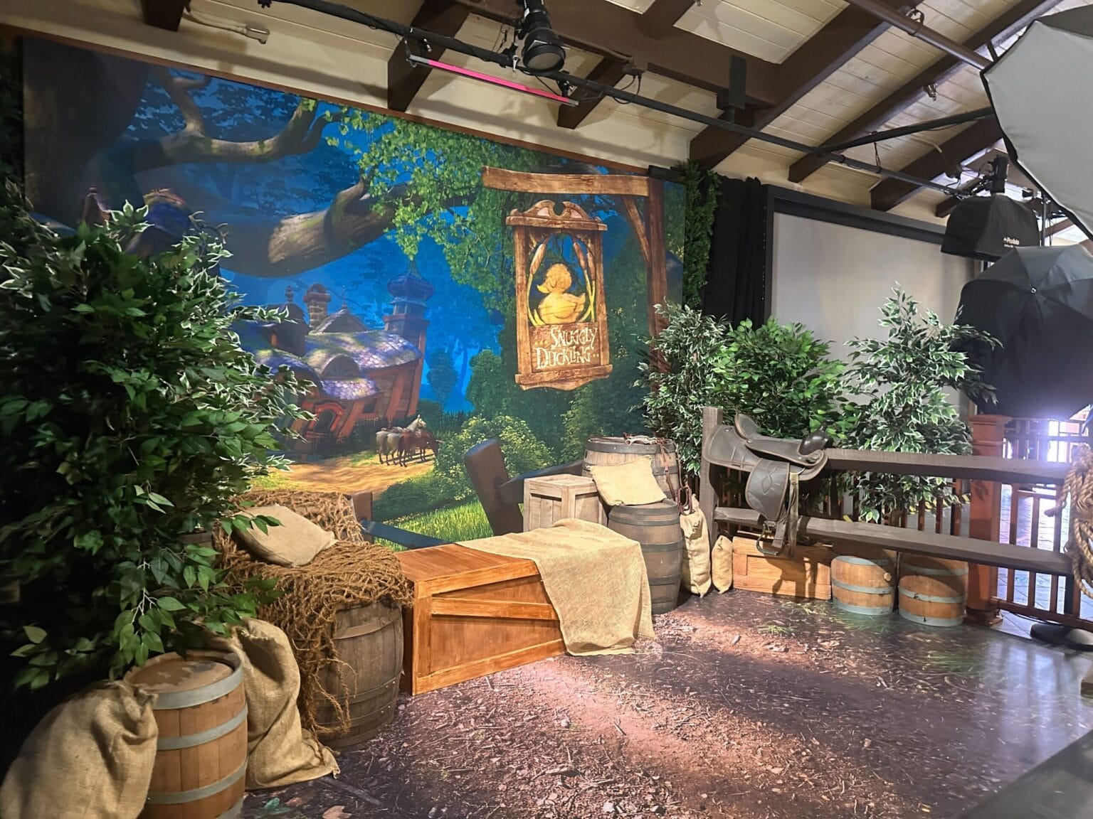 Tangled PhotoPass Backdrop Debuts at Disney Springs - Disney by Mark
