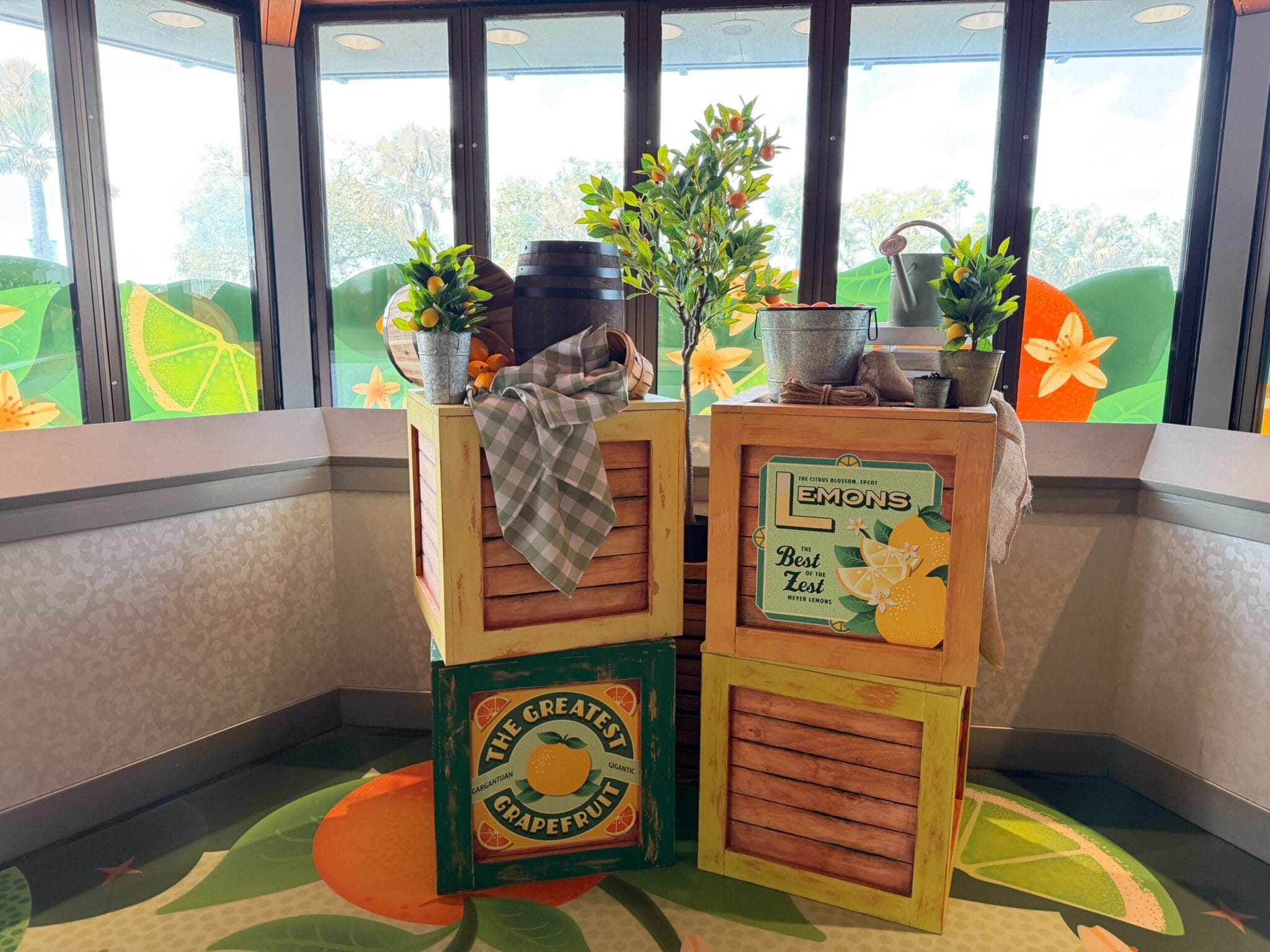 Play Hopscotch & Twister Inside The Citrus Blossom for the 2026 EPCOT ...