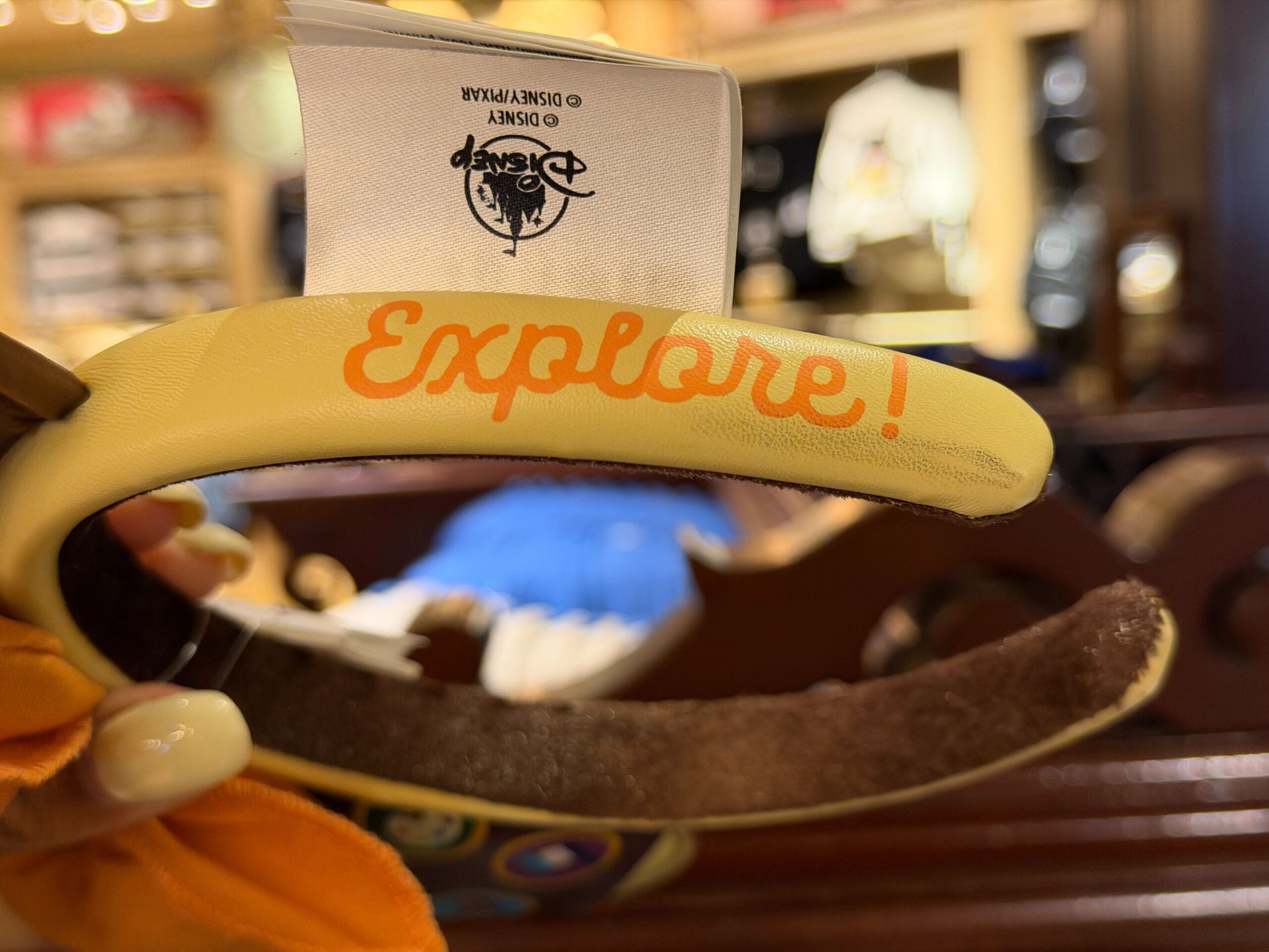 Disneyland Has New Accessories, Keychains, and Bags Featuring 'The Lion ...