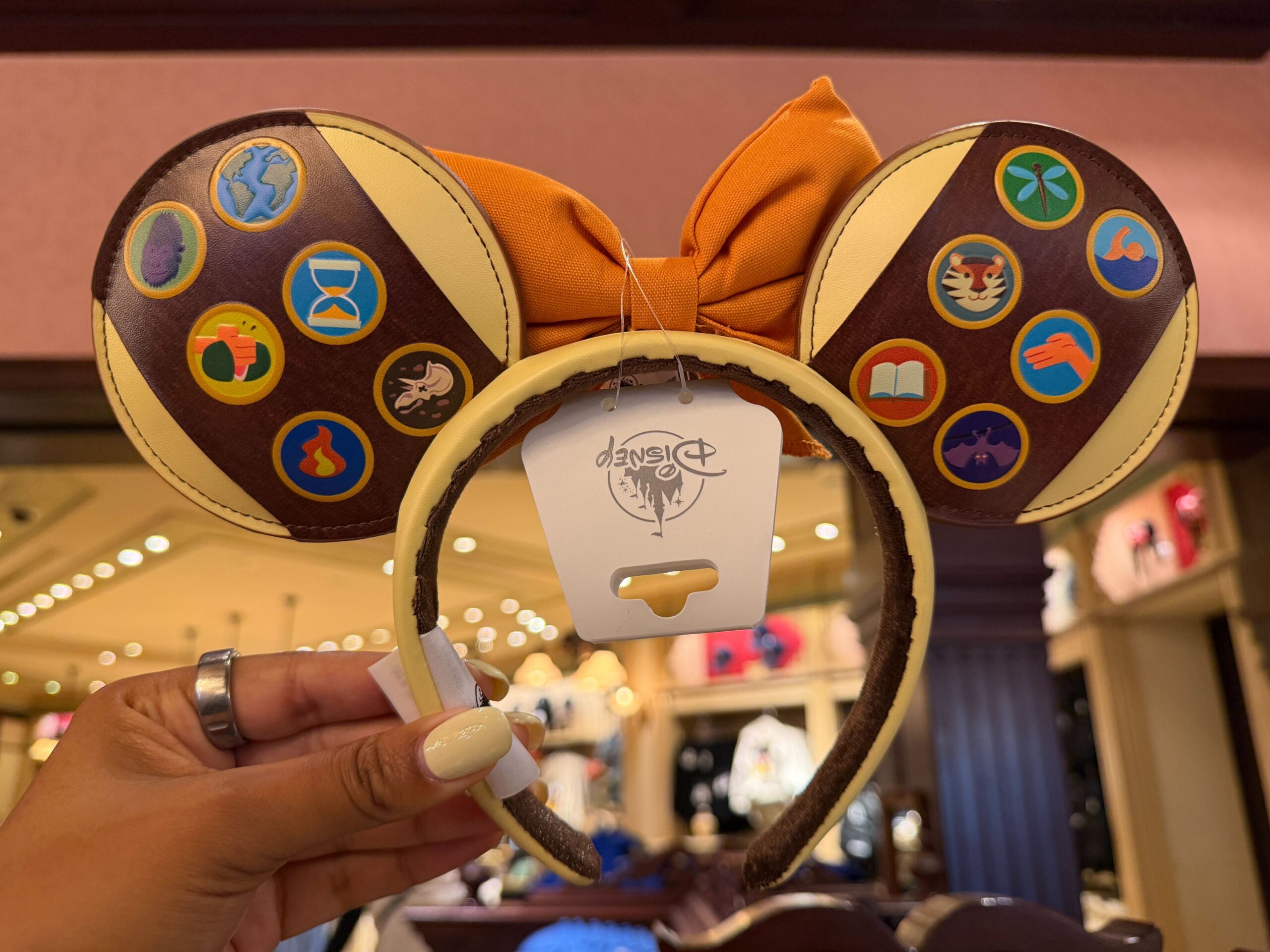 Disneyland Has New Accessories, Keychains, and Bags Featuring 'The Lion ...