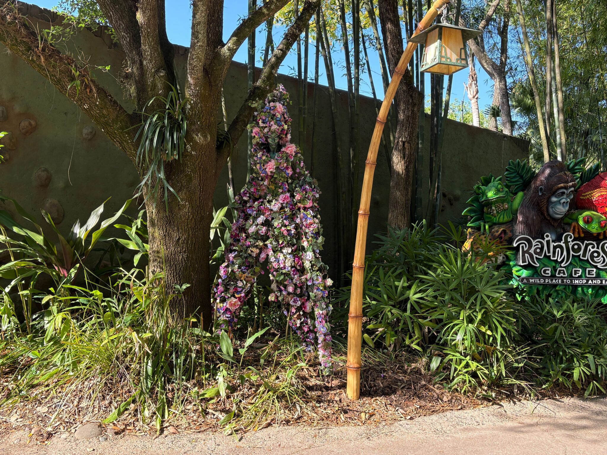 No Earth Day 2026 Meet and Greets at Disney’s Animal Kingdom - Disney ...