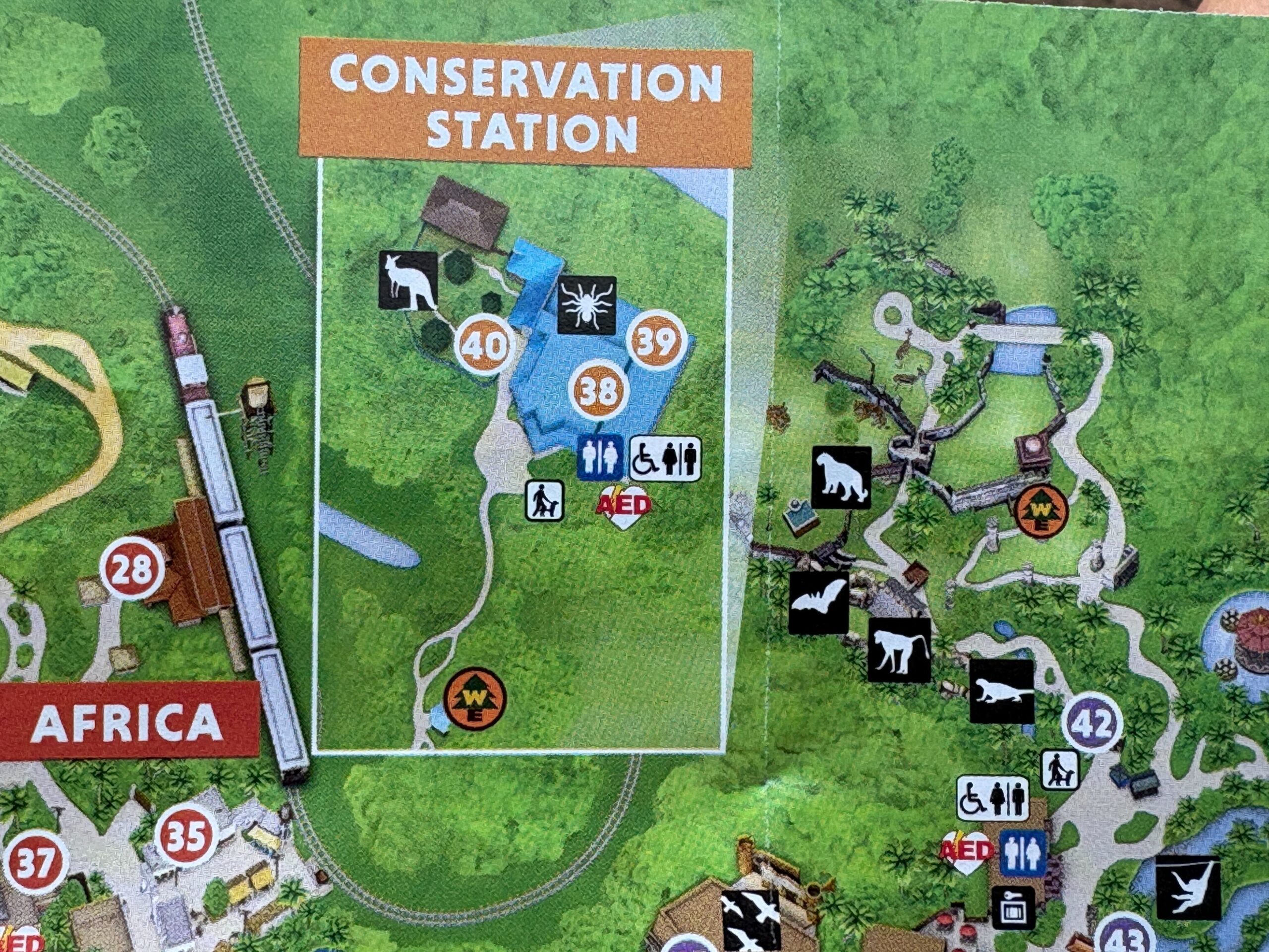 Disney's Animal Kingdom Map Gets 'Bluey' Update - WDW News Today