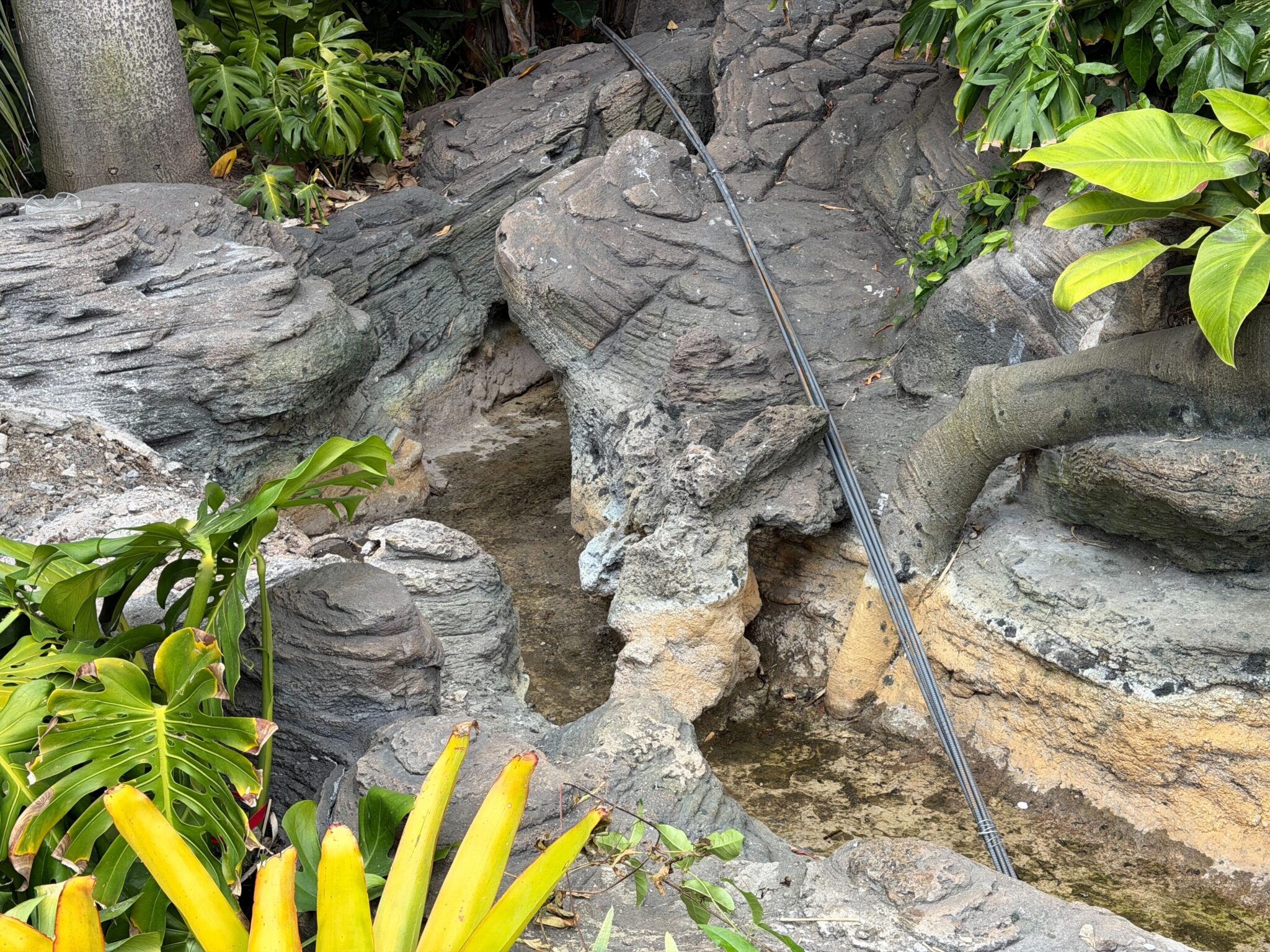 Construction Wall Goes Up Between Indiana Jones Adventure and ...