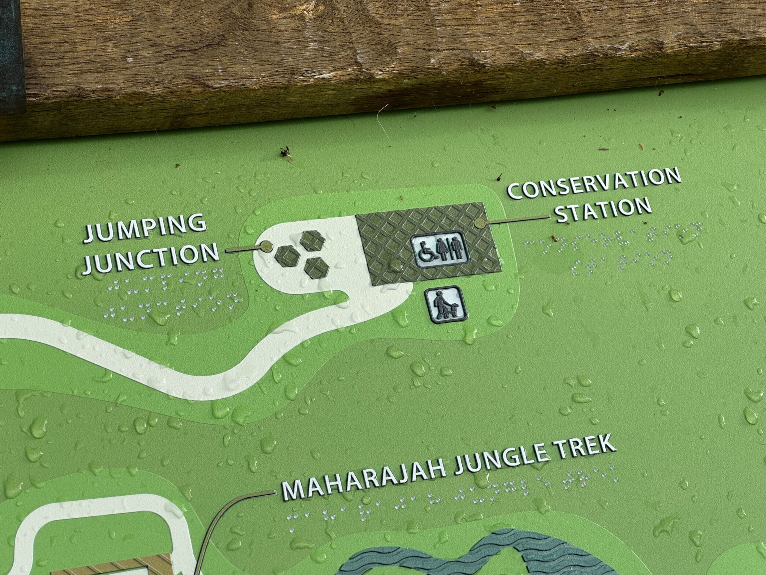 Braille Map Updated at Disney's Animal Kingdom, Includes New Bluey ...