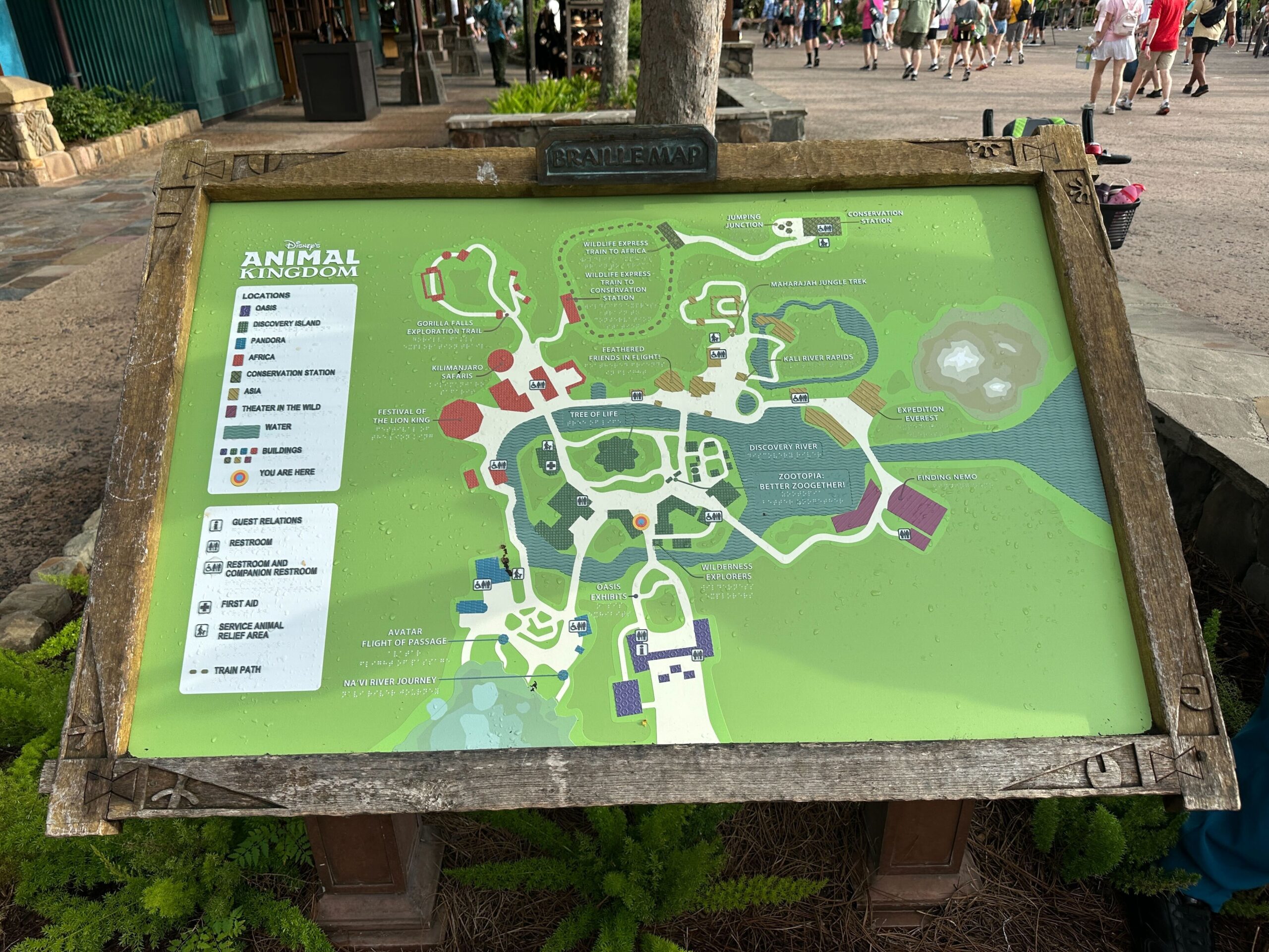 Braille Map Updated at Disney's Animal Kingdom, Includes New Bluey ...