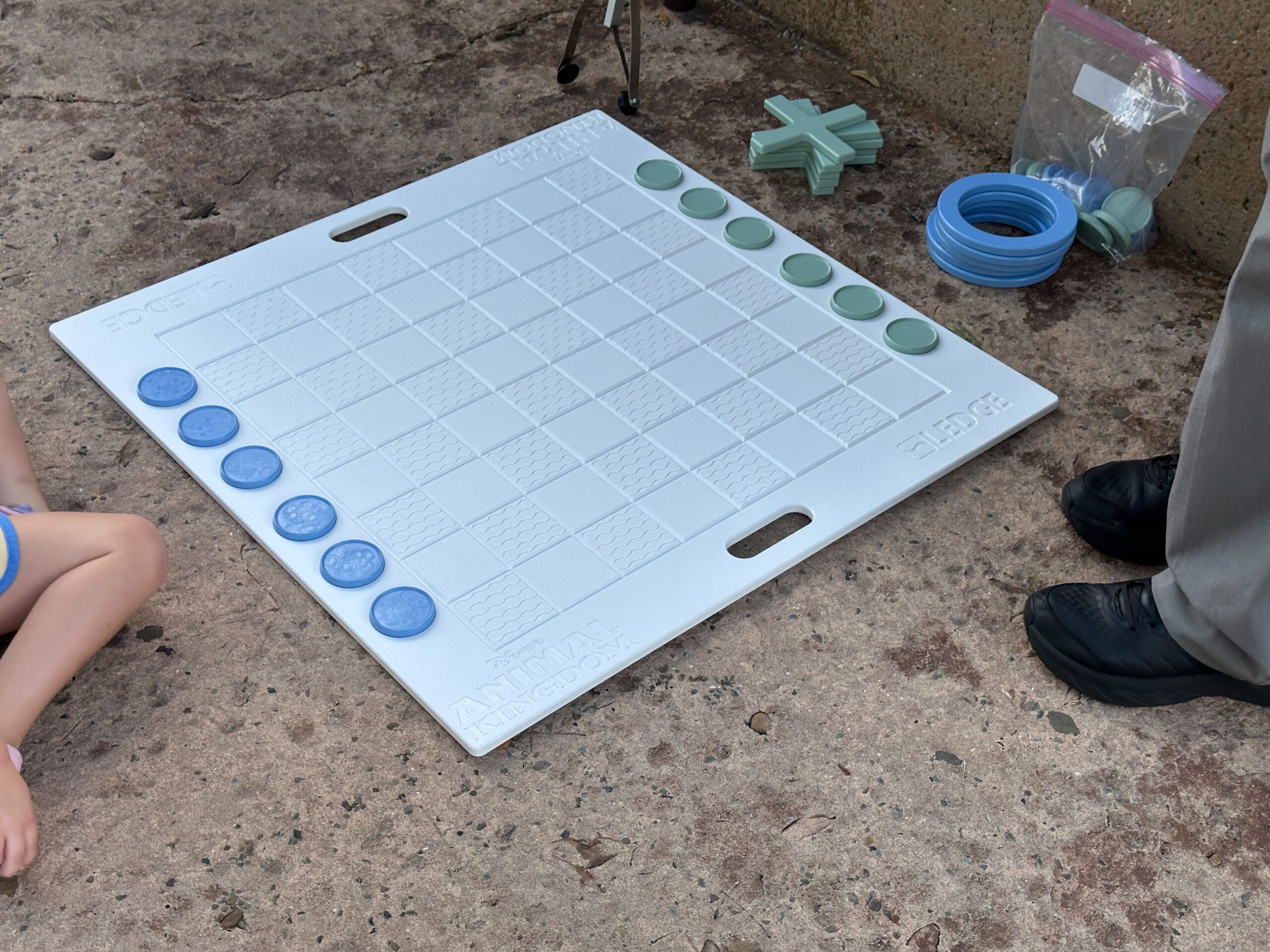 Disney's Animal Kingdom Adds Checkers, Tic-Tac-Toe, and Cornhole to ...