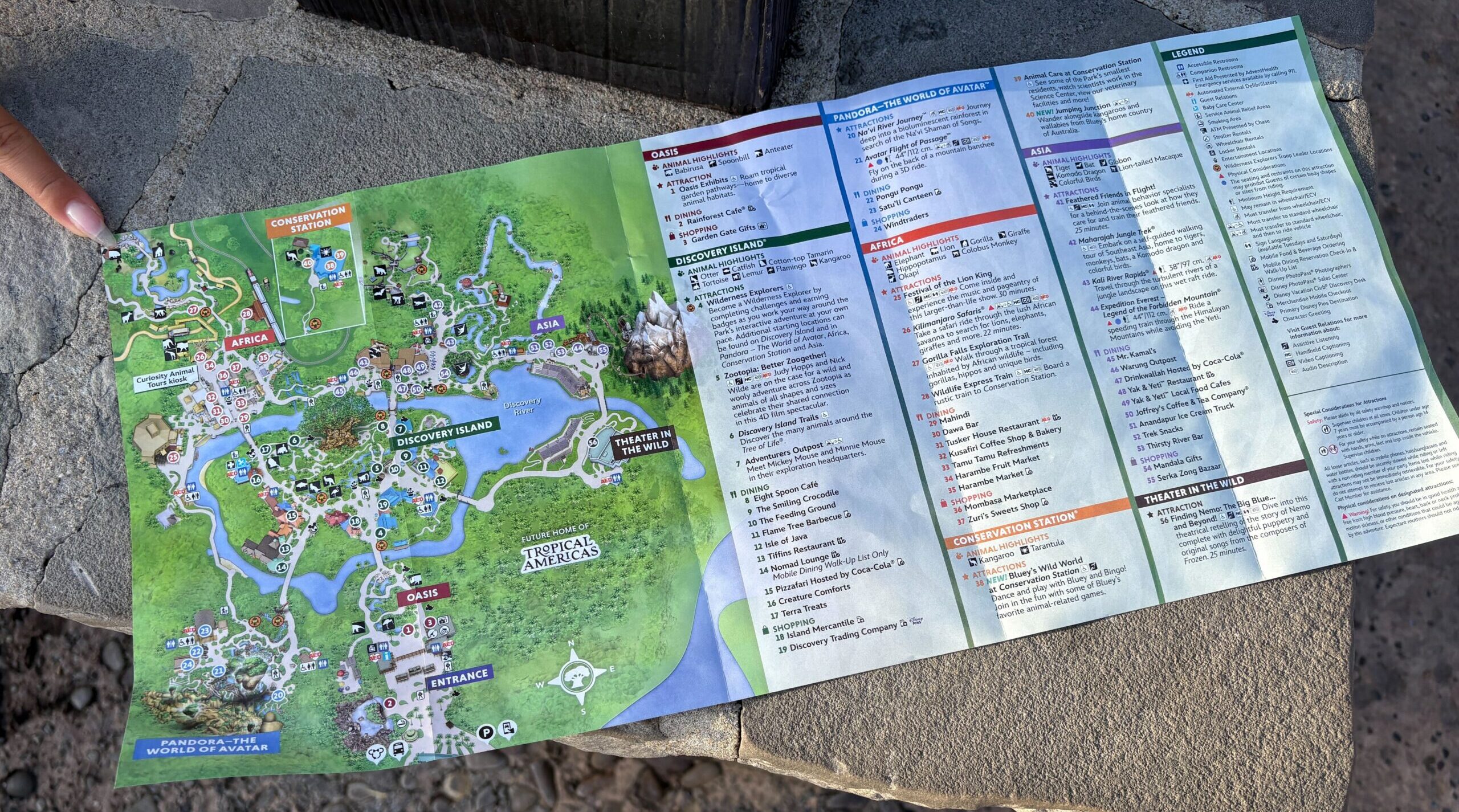 Disney's Animal Kingdom Map Gets 'Bluey' Update - WDW News Today