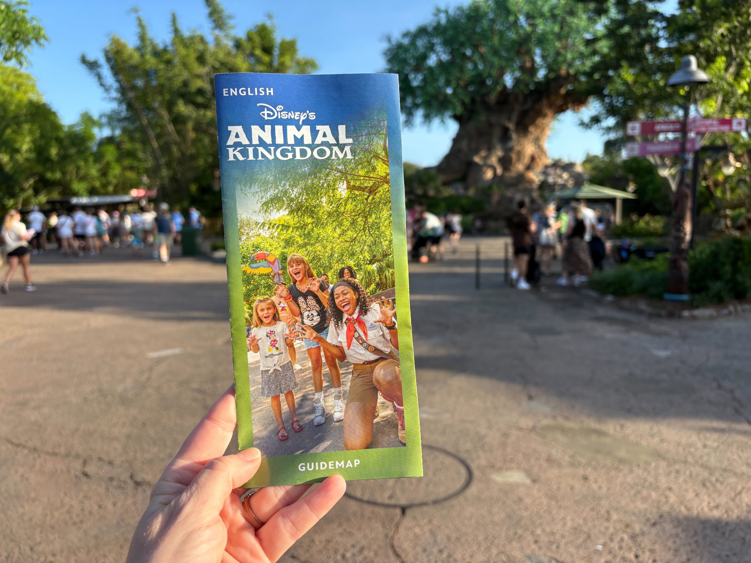 Disney's Animal Kingdom Map Gets 'Bluey' Update - WDW News Today