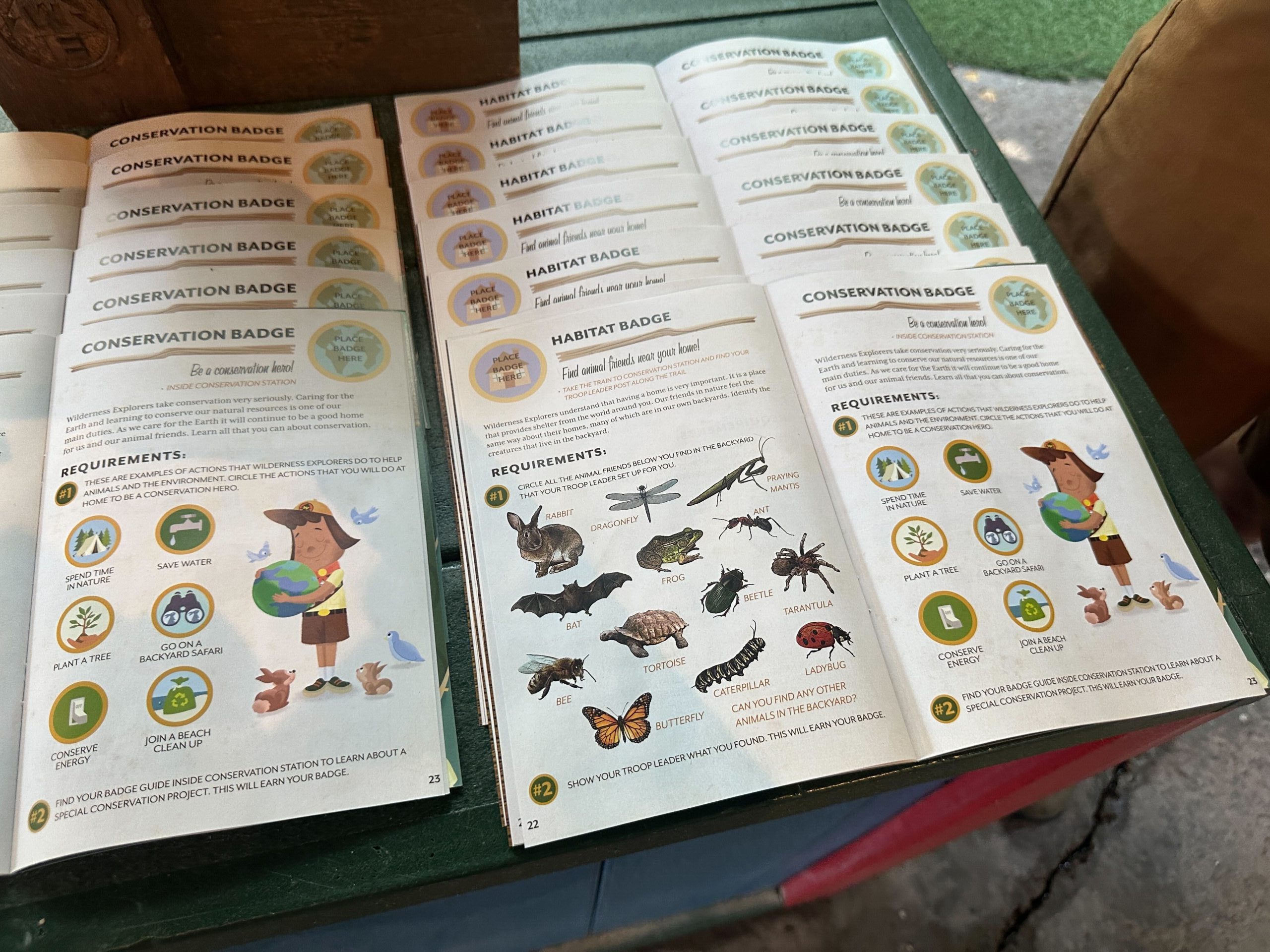 No New 'Bluey' Themed Wilderness Explorer Badges at Disney's Animal ...