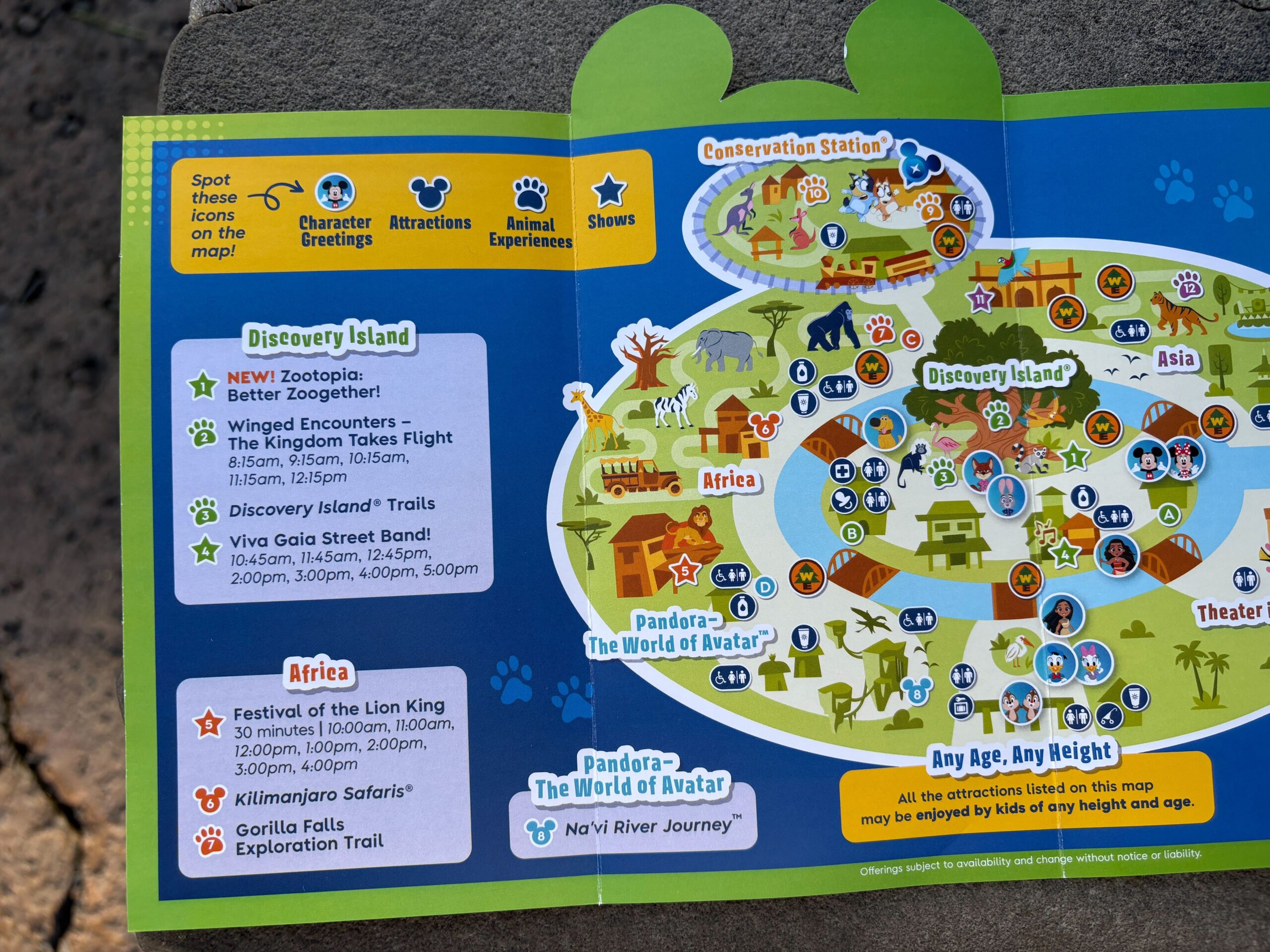 2026 Cool Kids' Summer Map Debuts at Disney's Animal Kingdom - WDW News ...