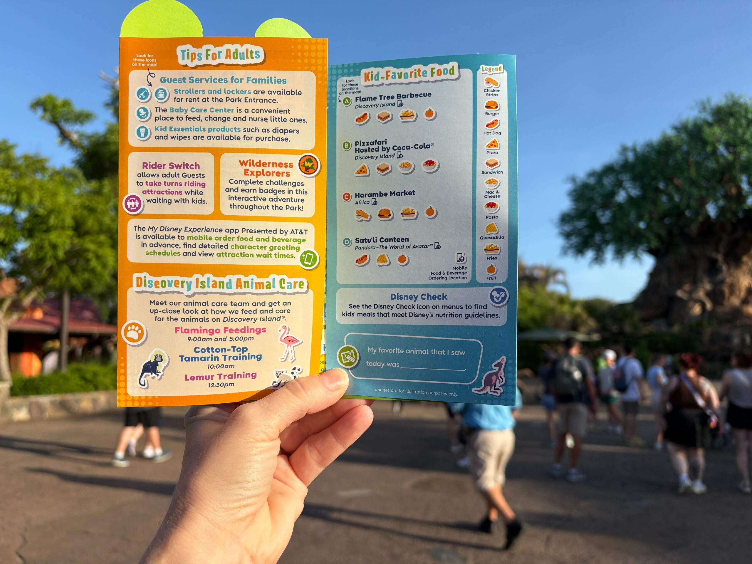 2026 Cool Kids' Summer Map Debuts at Disney's Animal Kingdom - WDW News ...