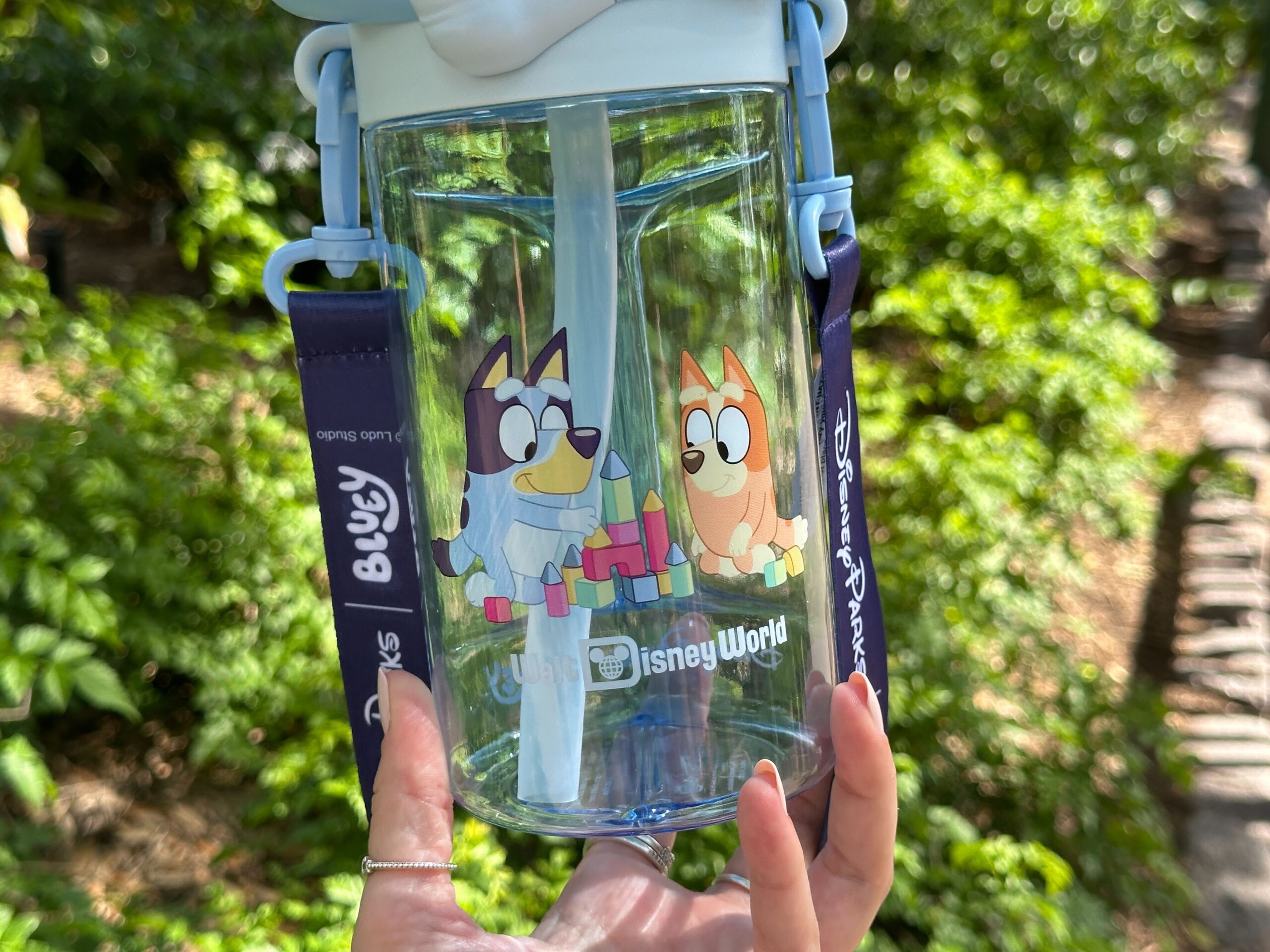 REVIEW: Bluey’s Ultimate Sugar Rush - Fairy Cake and Souvenir Sipper at ...
