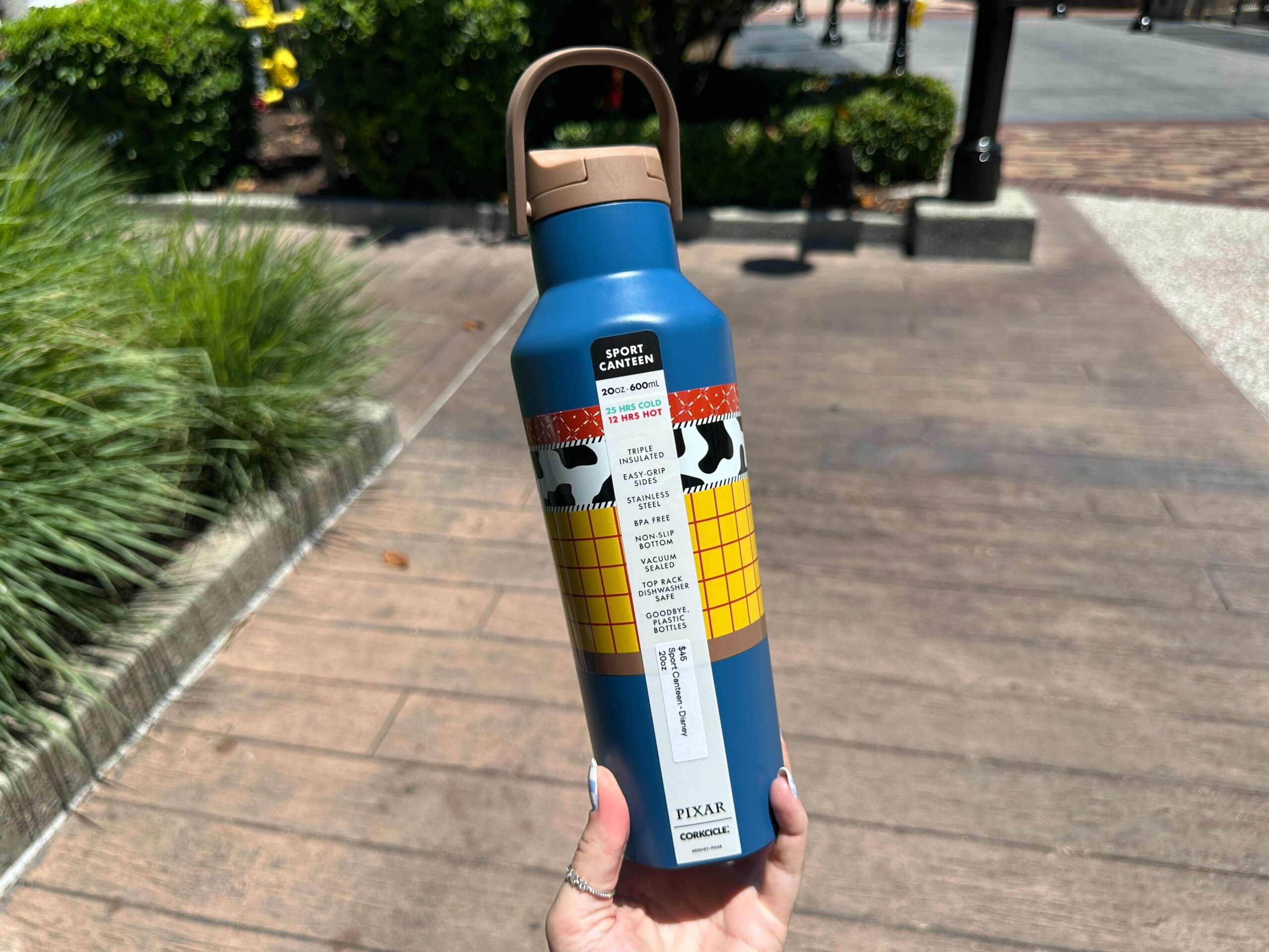 Carry Your Beverages in Woody and Buzz Corkcicle Canteens at Walt ...