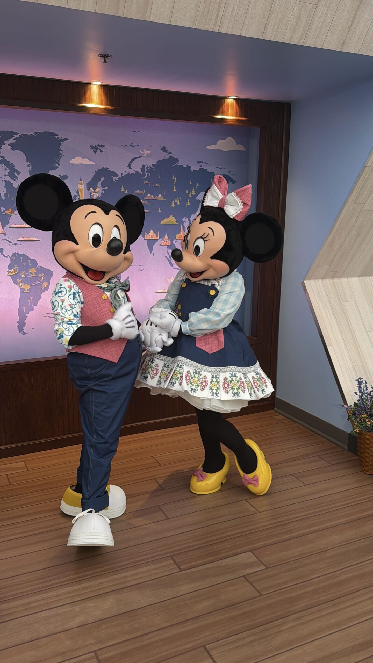 PHOTOS, VIDEO: Cottagecore Minnie and Mickey DVC Meet and Greet at ...