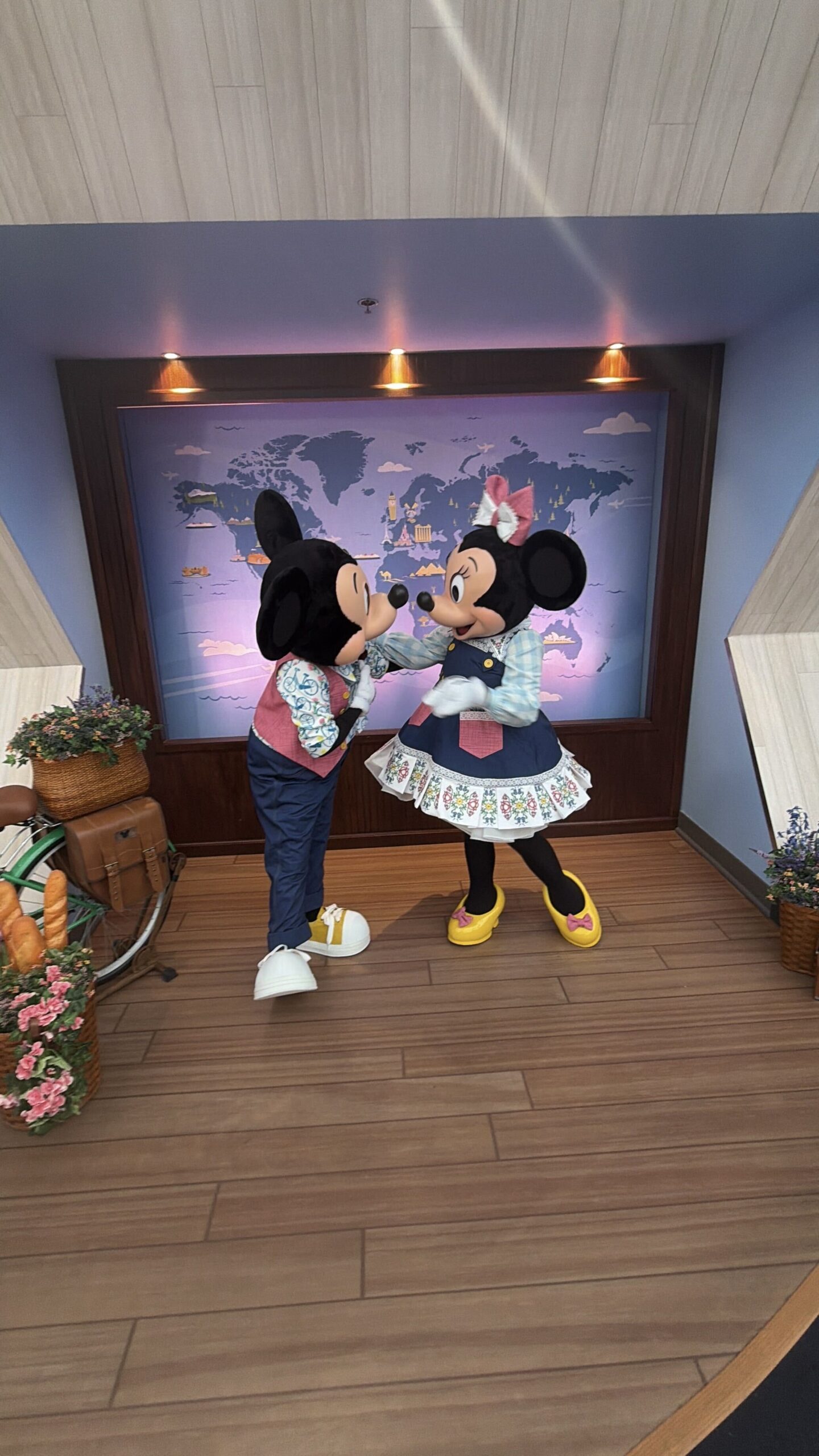 PHOTOS, VIDEO: Cottagecore Minnie and Mickey DVC Meet and Greet at ...