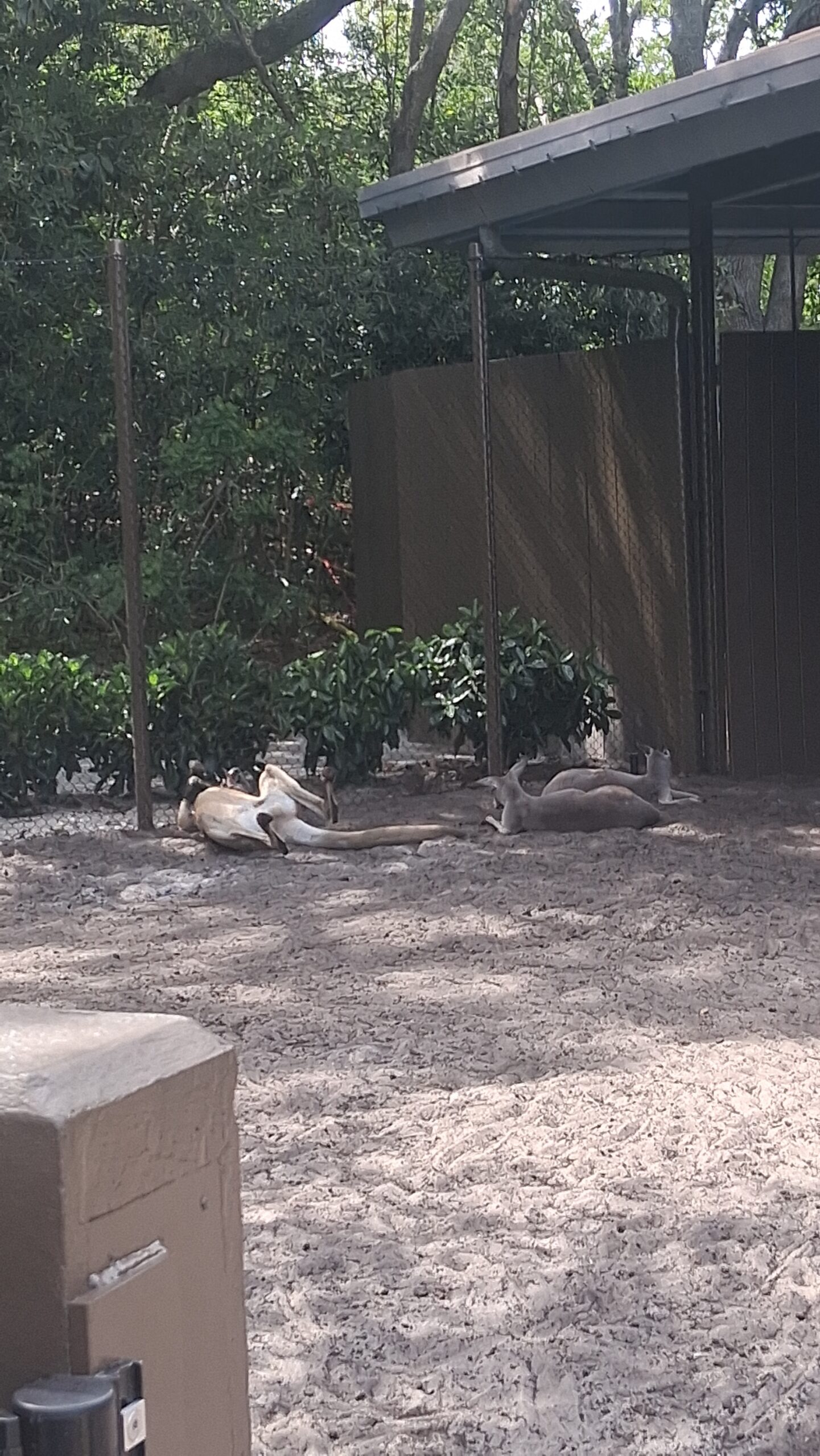 Jumping Junction Walkthrough Soft Opens to Small Groups of Guests at ...