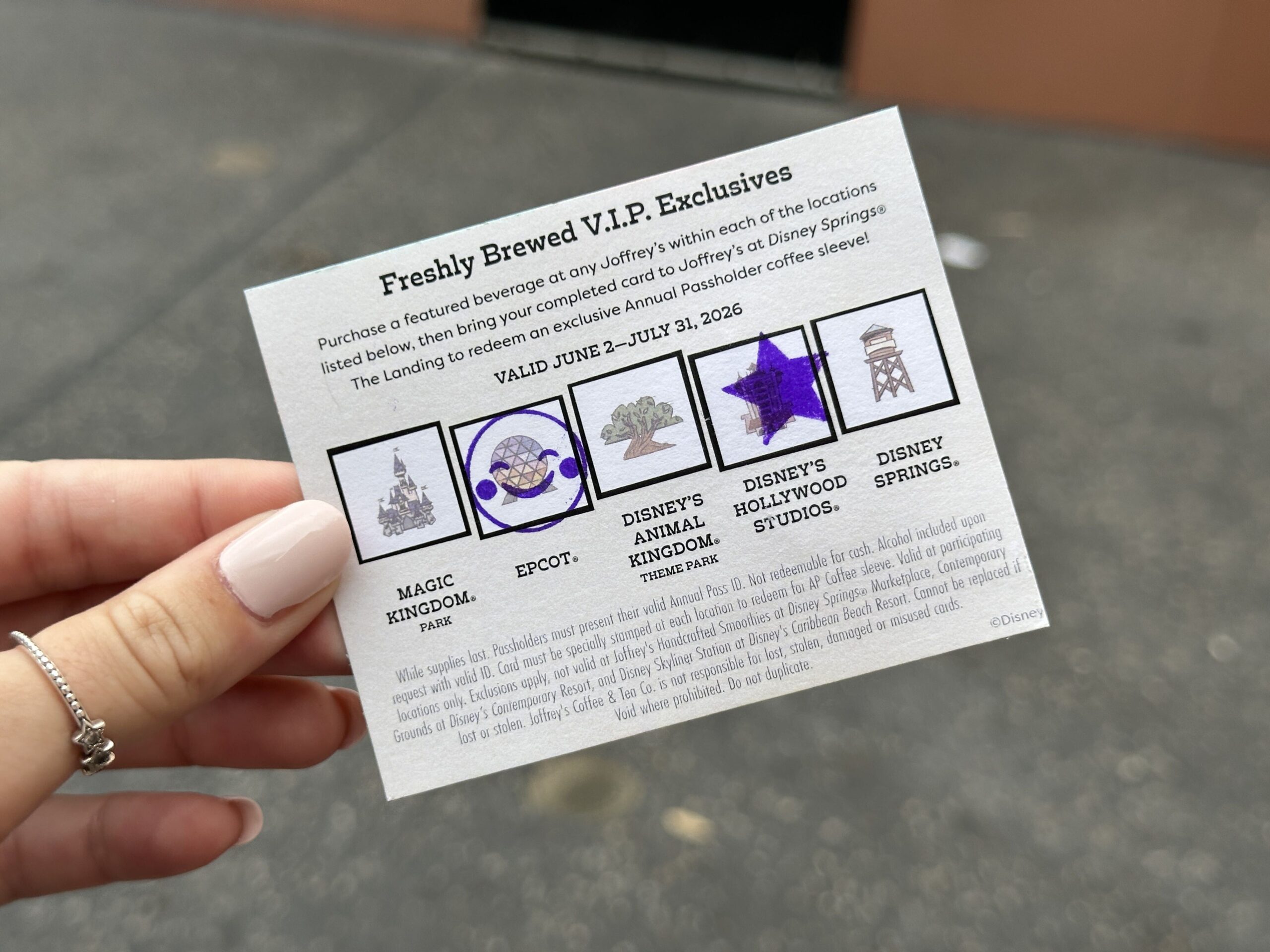 REVIEW: Rockin’ Cold Brew at Disney’s Hollywood Studios for Annual ...