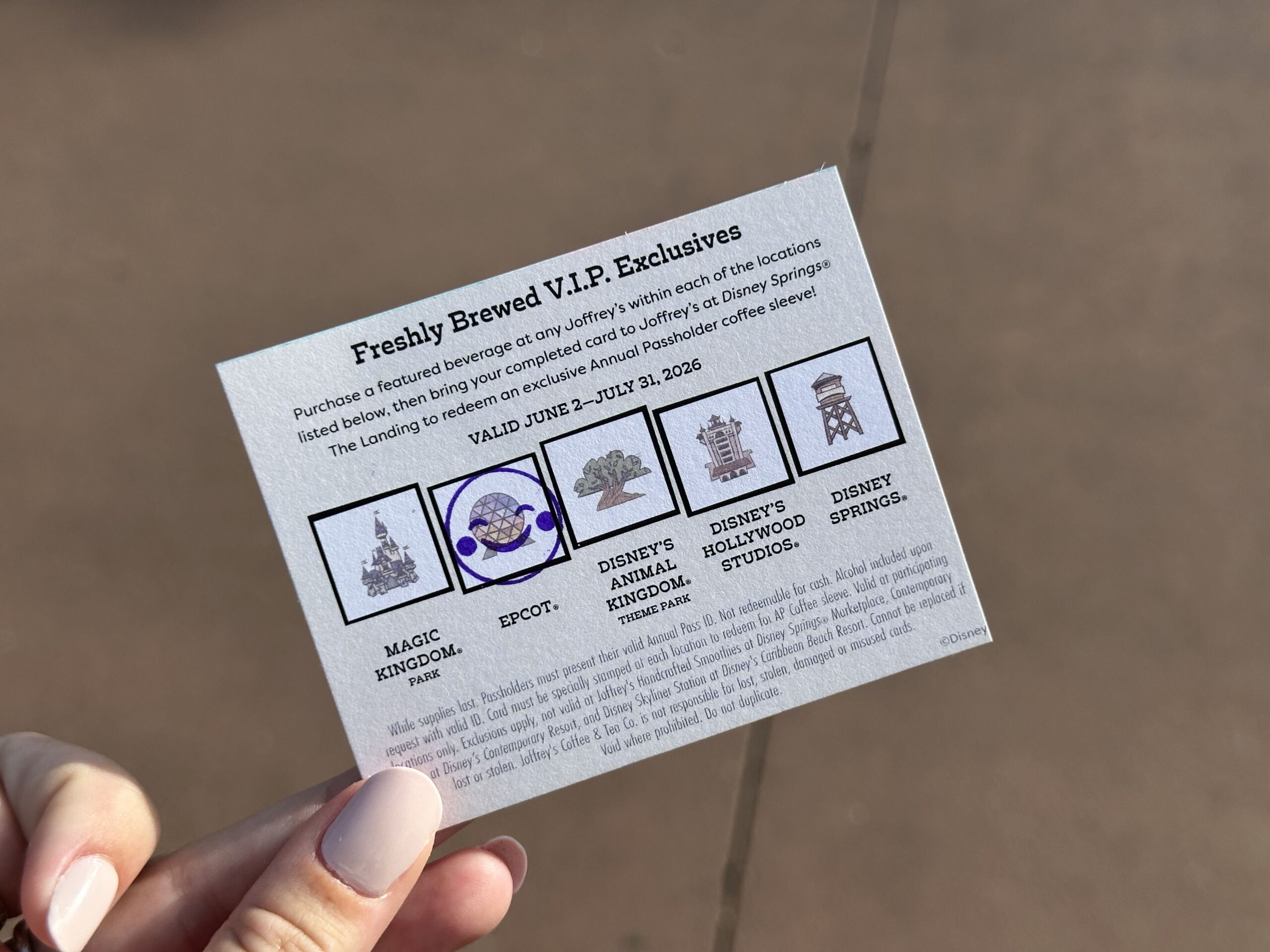 REVIEW: Passholder-Exclusive Parisian Pebble Cold Brew at EPCOT for ...