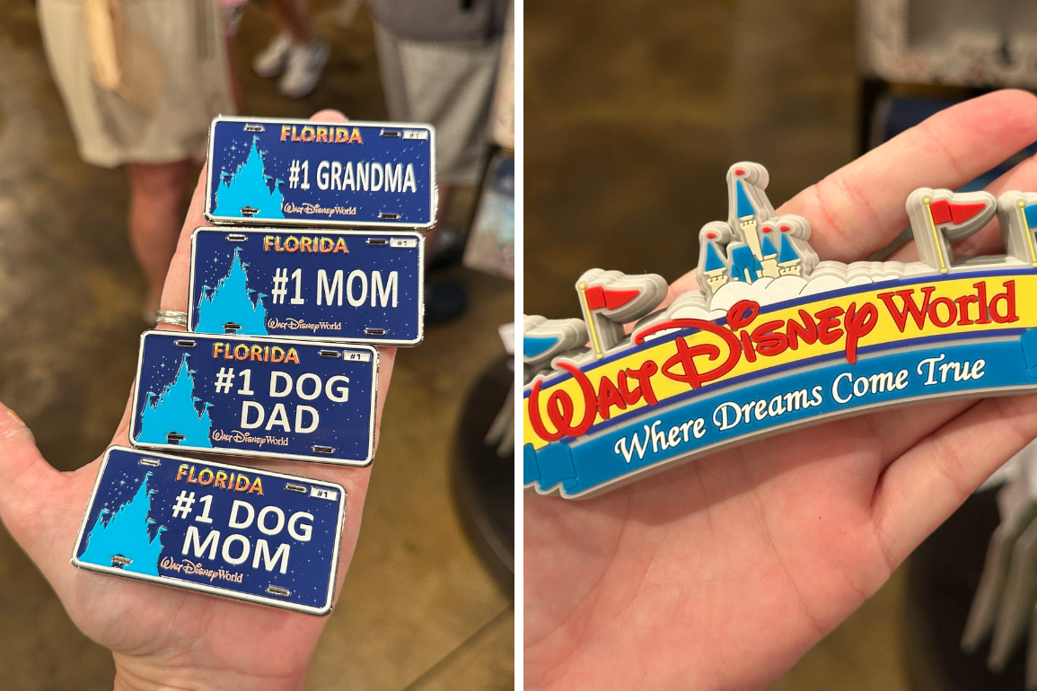 #1 License Plate and Sign Magnets Now at Walt Disney World - WDW News Today
